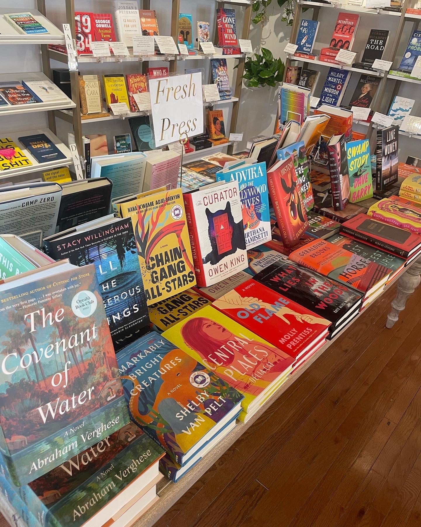 Shelf Curation + Fresh Press – Illume Books